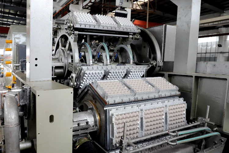 Double Rotary Egg Tray Machine - HGHY Automatic Pulp Molding Machine ...