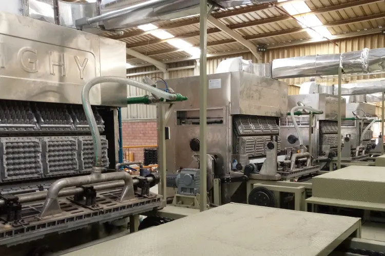 Rotary Egg Tray Machine - HGHY Automatic Pulp Molding Machine ｜Paper Tray