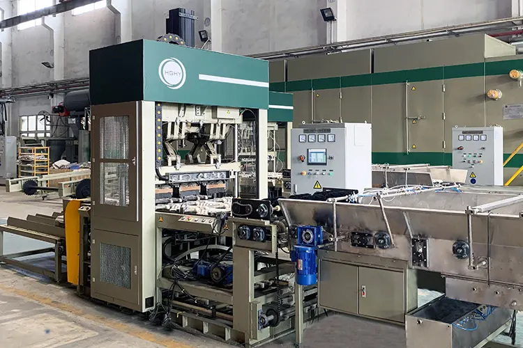 Double Rotary Egg Box Making Machine - HGHY Automatic Pulp Molding ...