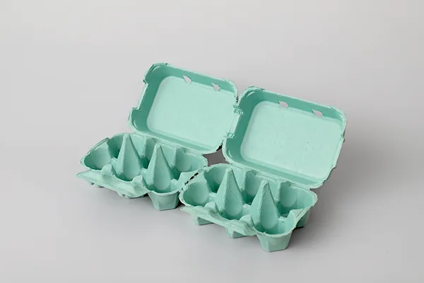 Double Rotary Egg Box Making Machine - HGHY Automatic Pulp Molding ...